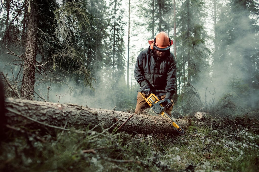 Power Tools | Storage | Landscaping | DEWALT